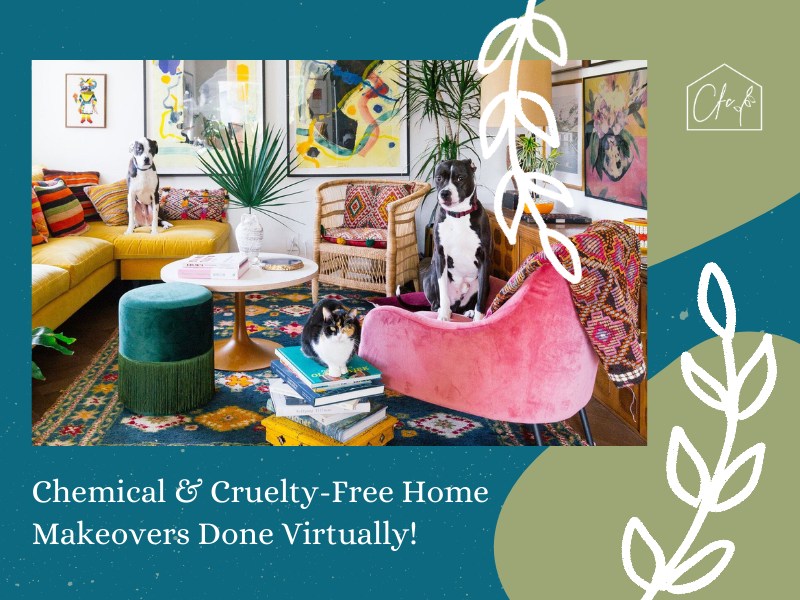 Virtual Interior Design Service Non-toxic - DiMare Design